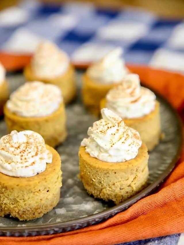 Mini Pumpkin Cheesecakes Recipe Miss In The Kitchen