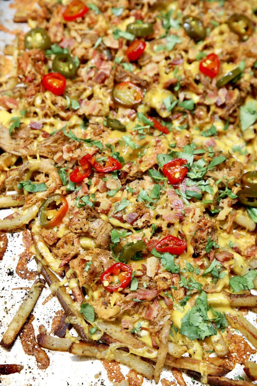 Pulled Pork Fries - Miss in the Kitchen