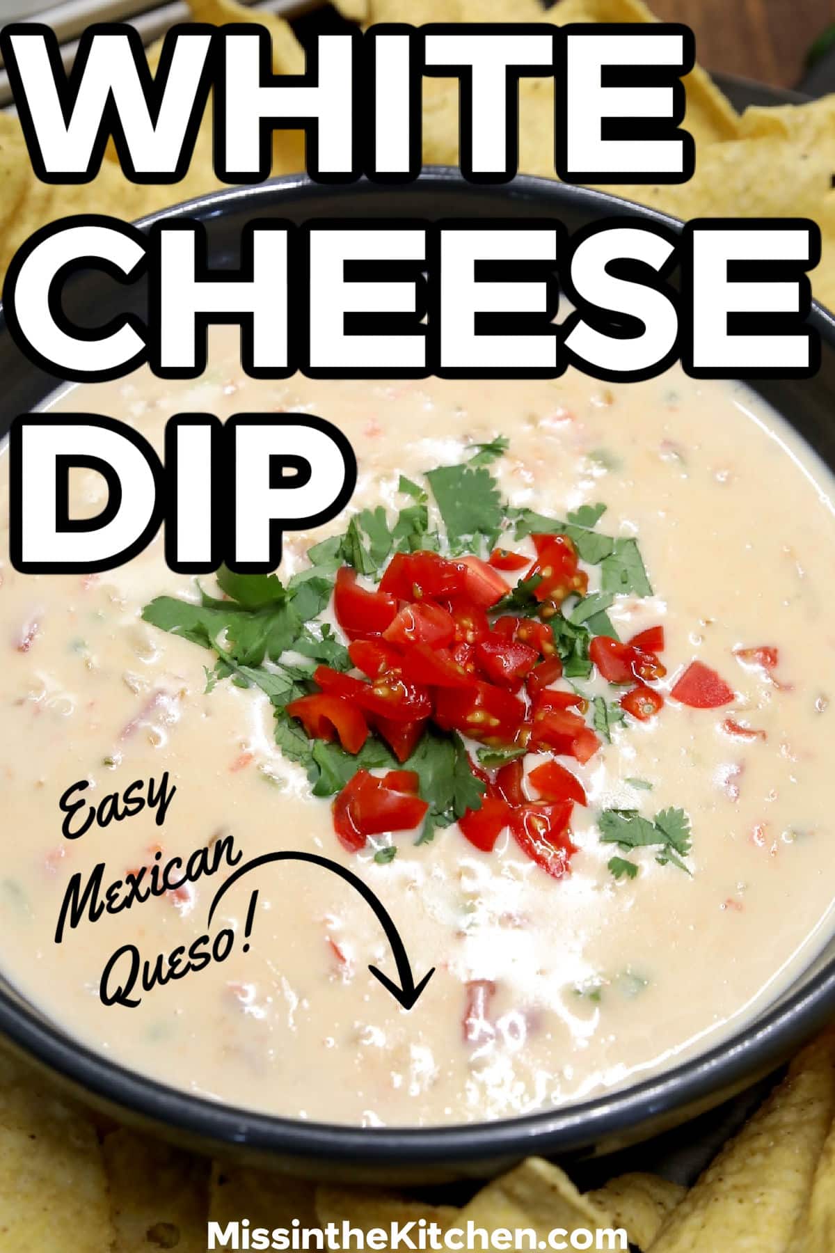 White Cheese Dip - Miss in the Kitchen
