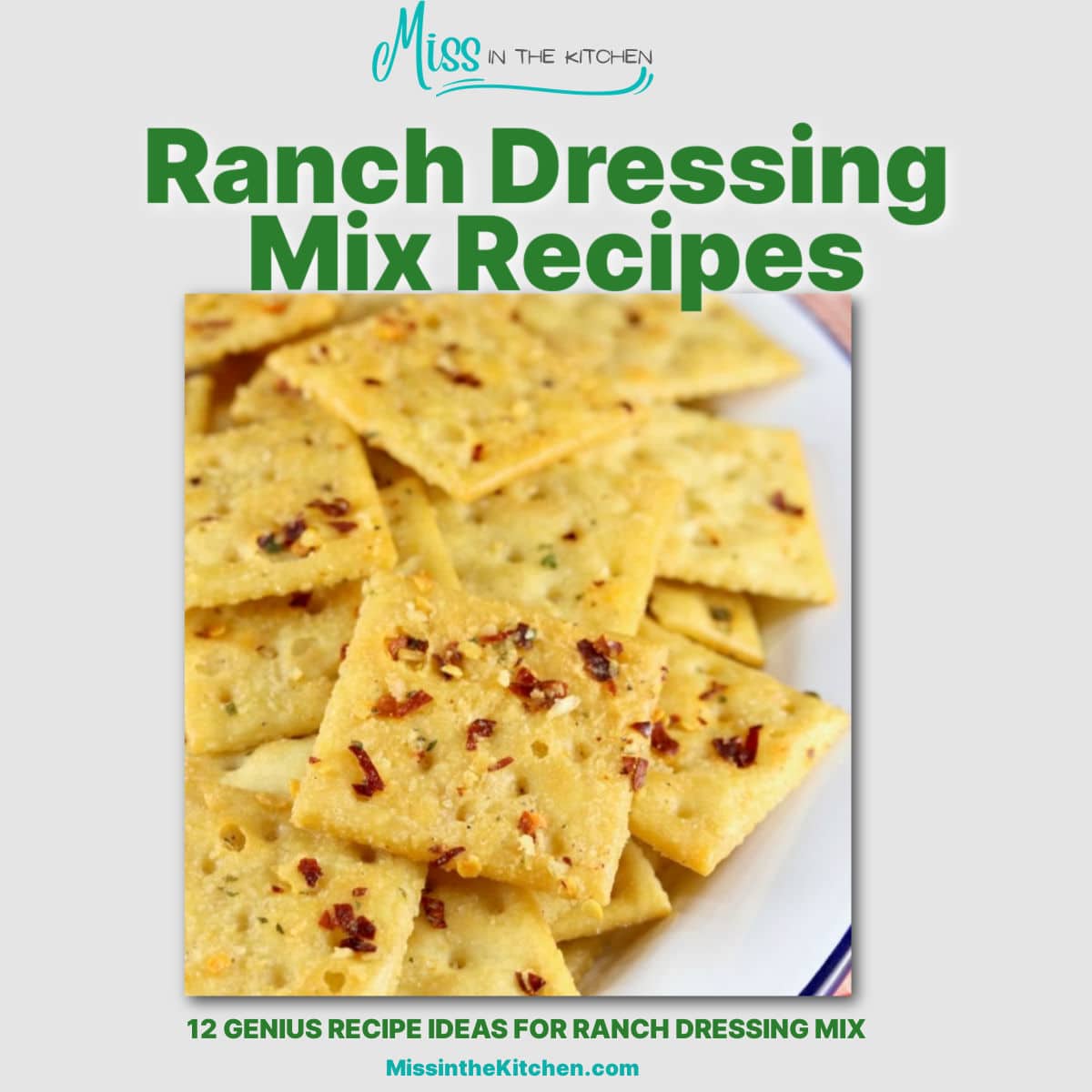 12 Genius Ways to Use Ranch Dressing Mix (Hacks You'll Love) - Miss in ...